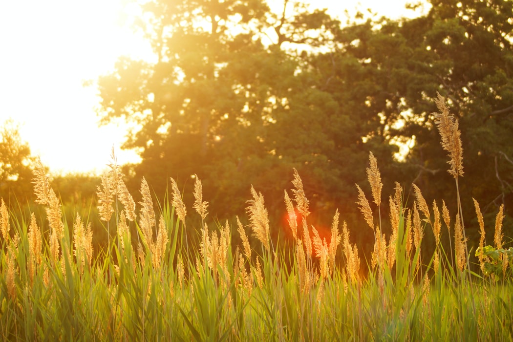 8 tips voor de mooiste zomerfoto’s - Shoot