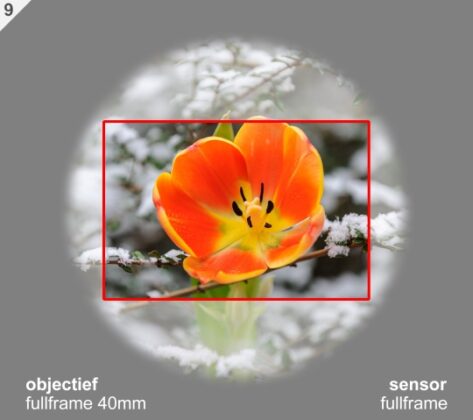 De sensor van je camera uitgelegd: welke formaten zijn er? - Shoot